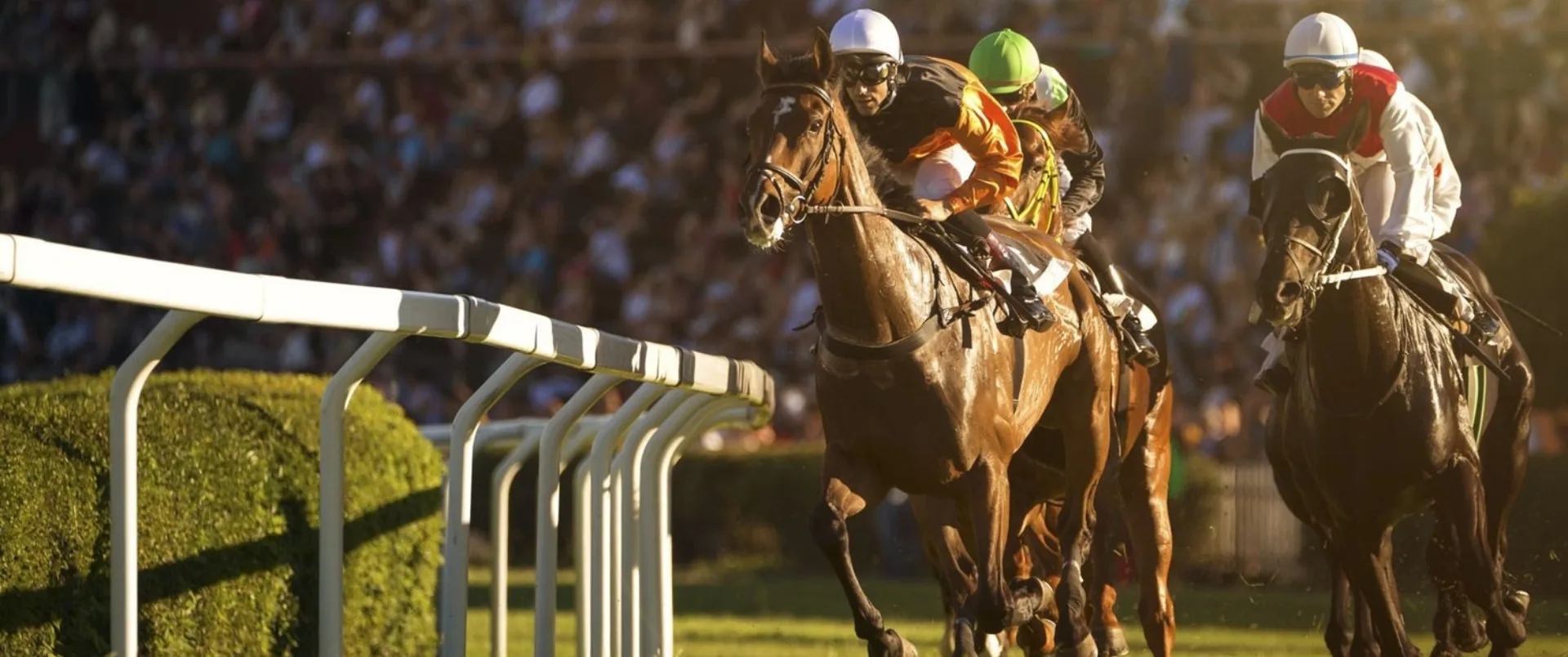 The Best Sports Calendar | ES Sport